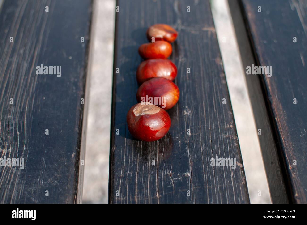 A chinese chestnut tree hi-res stock photography and images - Alamy