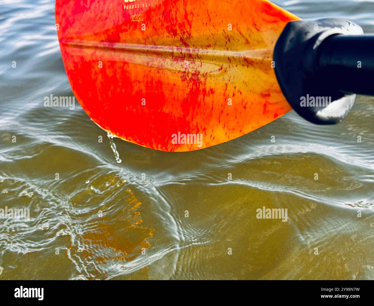 Kayak paddle out of the water with water drops falling Stock Photo - Alamy