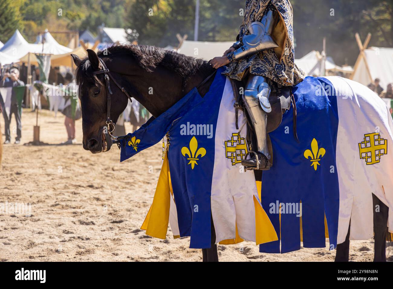 Knight wearing a suit of armor, riding a horse covered with a coat of ...
