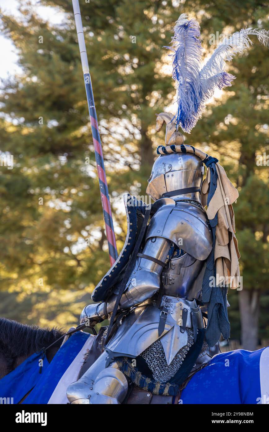 Medieval knight wearing a suit of armor is sitting on a horse holding a ...