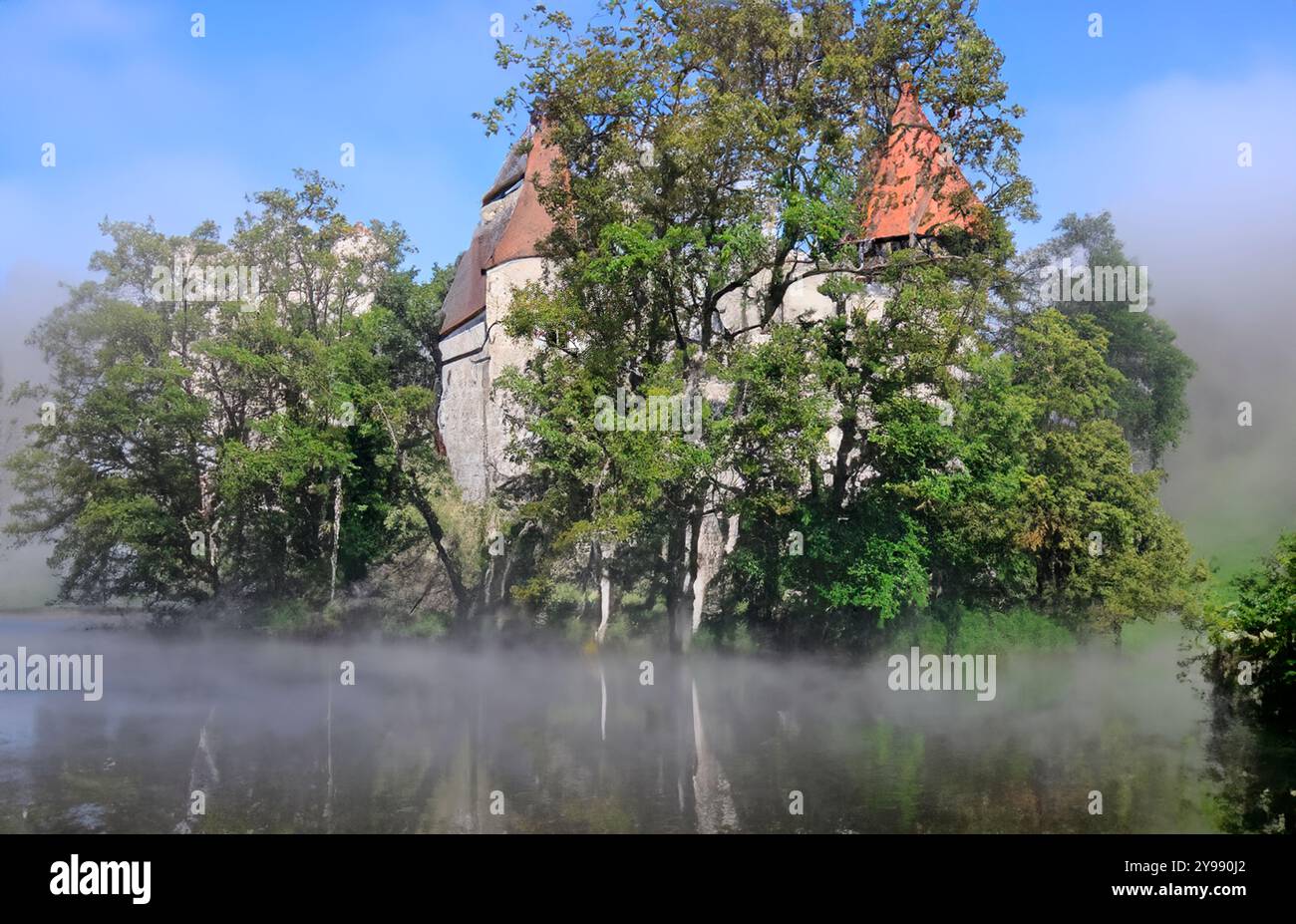 An enchanted waterfront castle protected by fog and trees Stock Photo ...