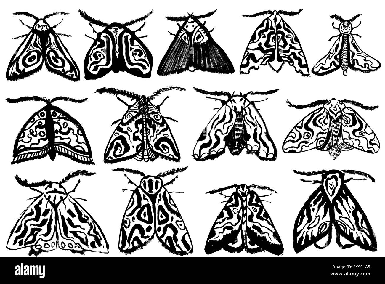 Night moth Stock Vector Images - Alamy
