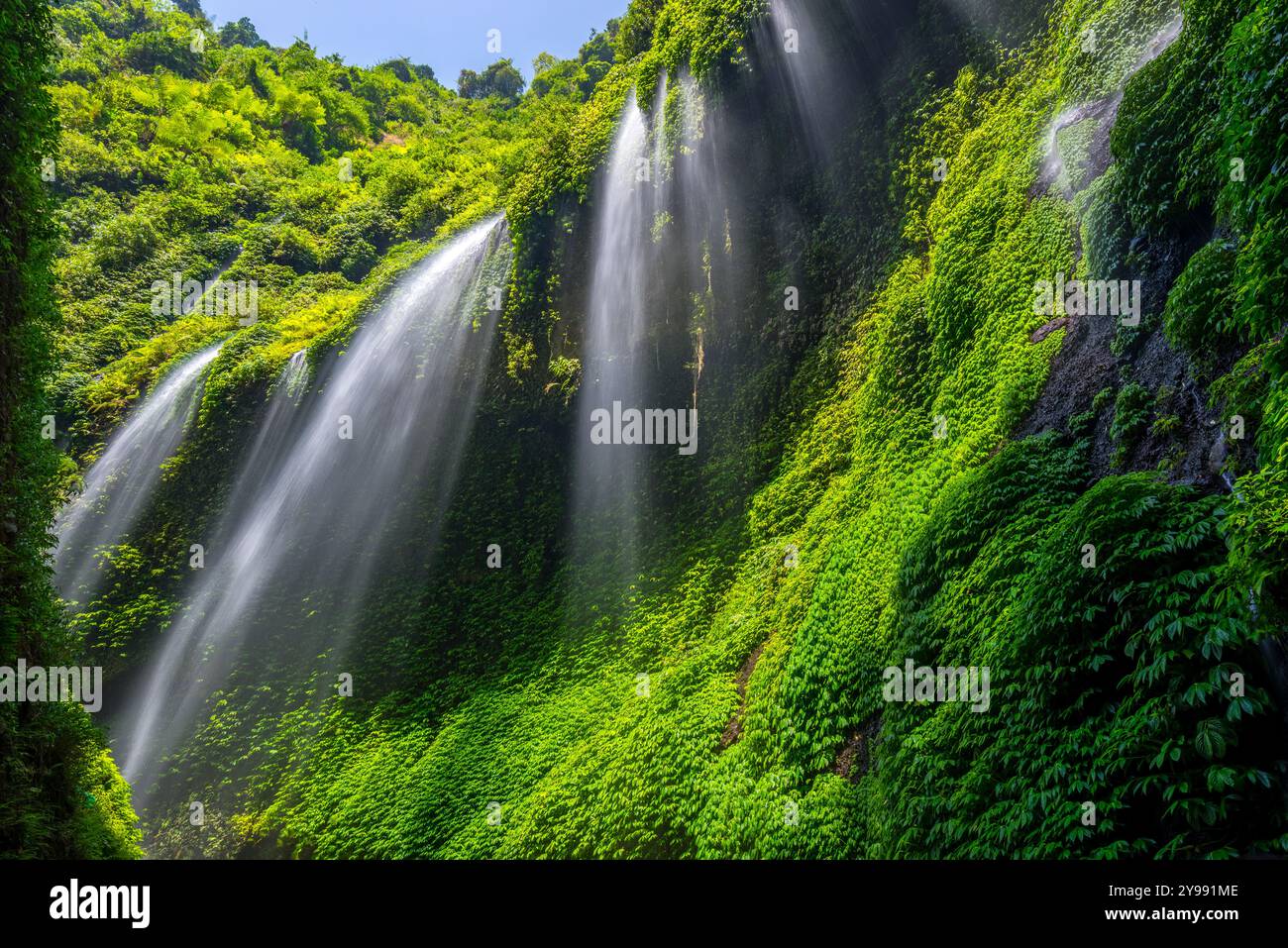 Madakaripura Waterfall, East Java, Indonesia Stock Photo - Alamy