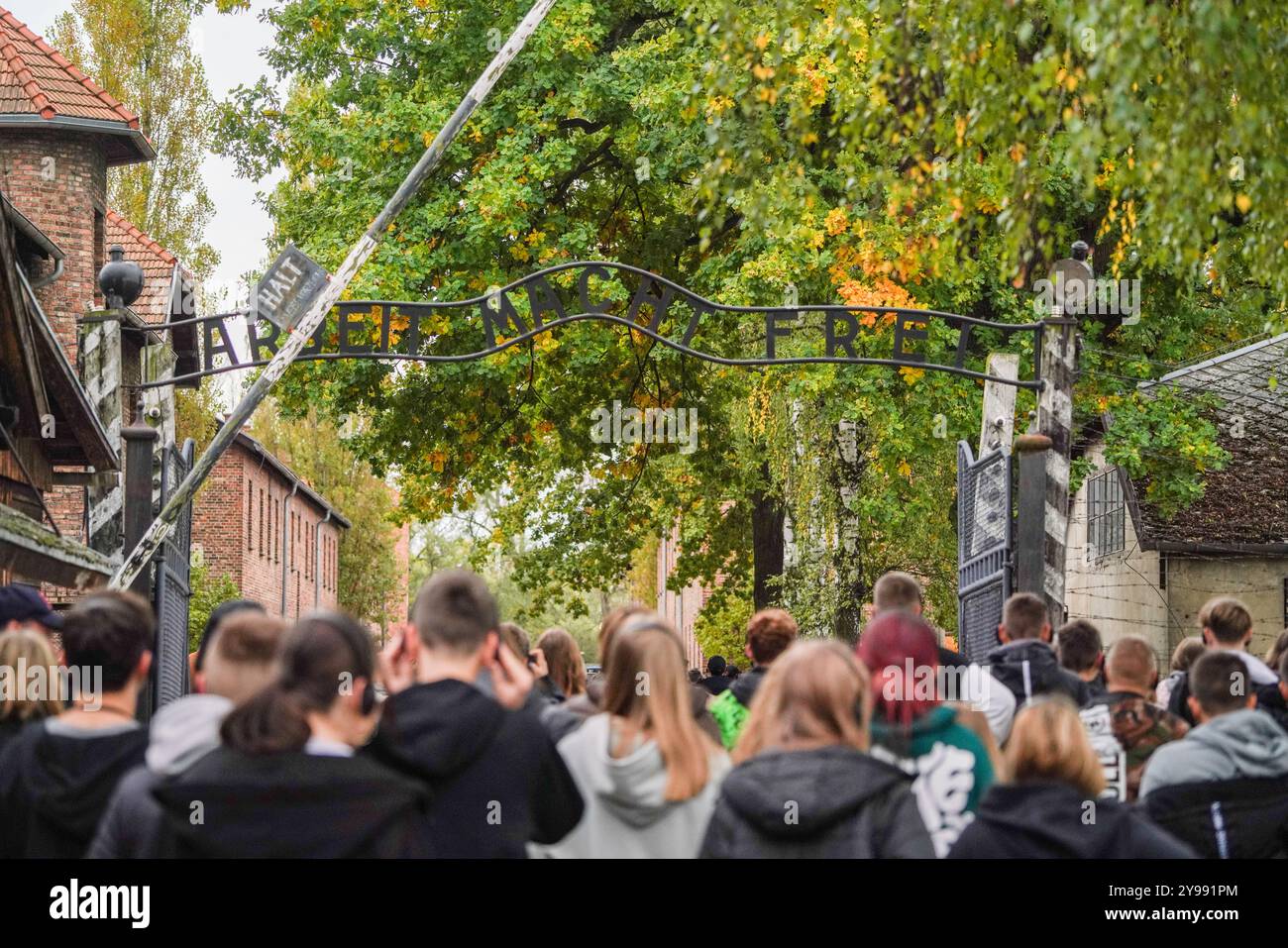 Oświęcim, Poland . 9 October 2024 Large crowds of tourists and school ...