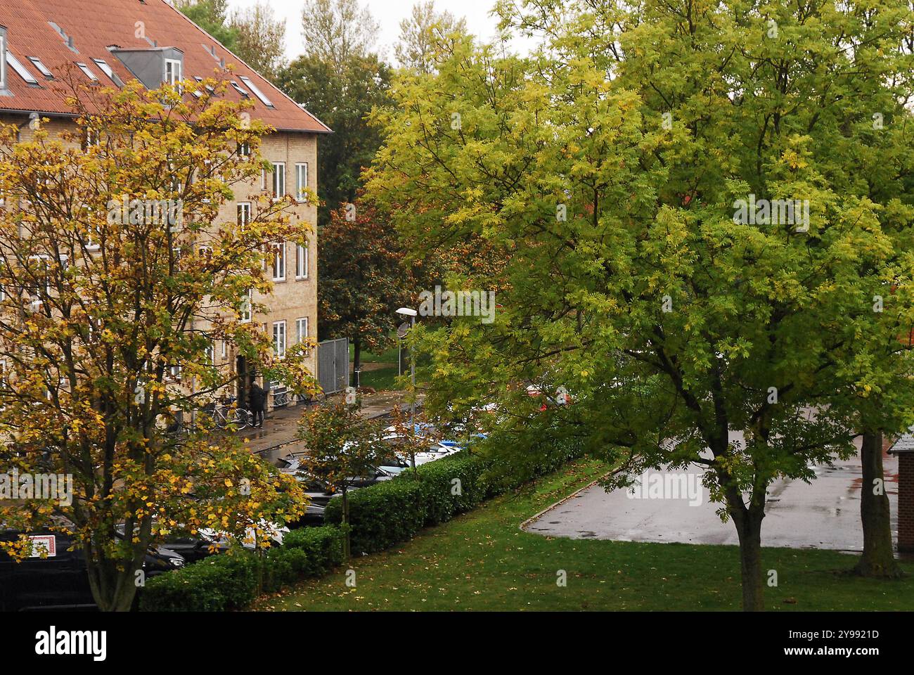 Copenhagen/ Denmark/09 October 2024/ Danish weather rain fall in danish ...