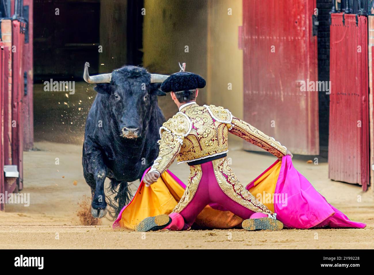 A dramatic moment as a bull charges towards a kneeling matador during a ...