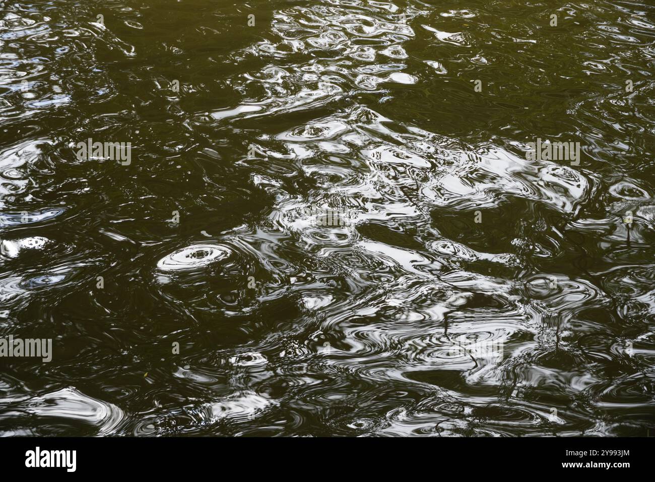 Summer liquid nature ripple hi-res stock photography and images - Alamy