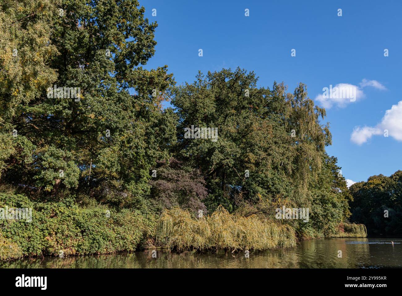 hamburg city at the alster river Stock Photo - Alamy