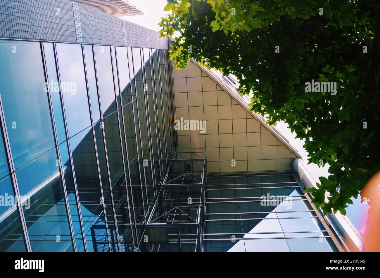 A building framed by trees, captured from a low angle in Japan: This perspective highlights the ...