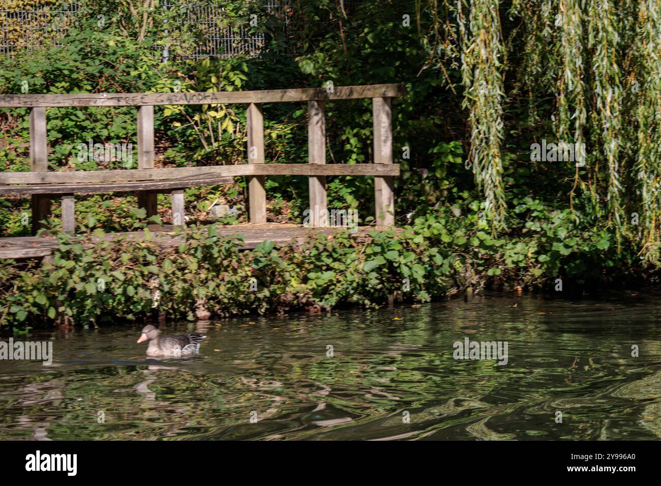 hamburg city at the alster river Stock Photo - Alamy