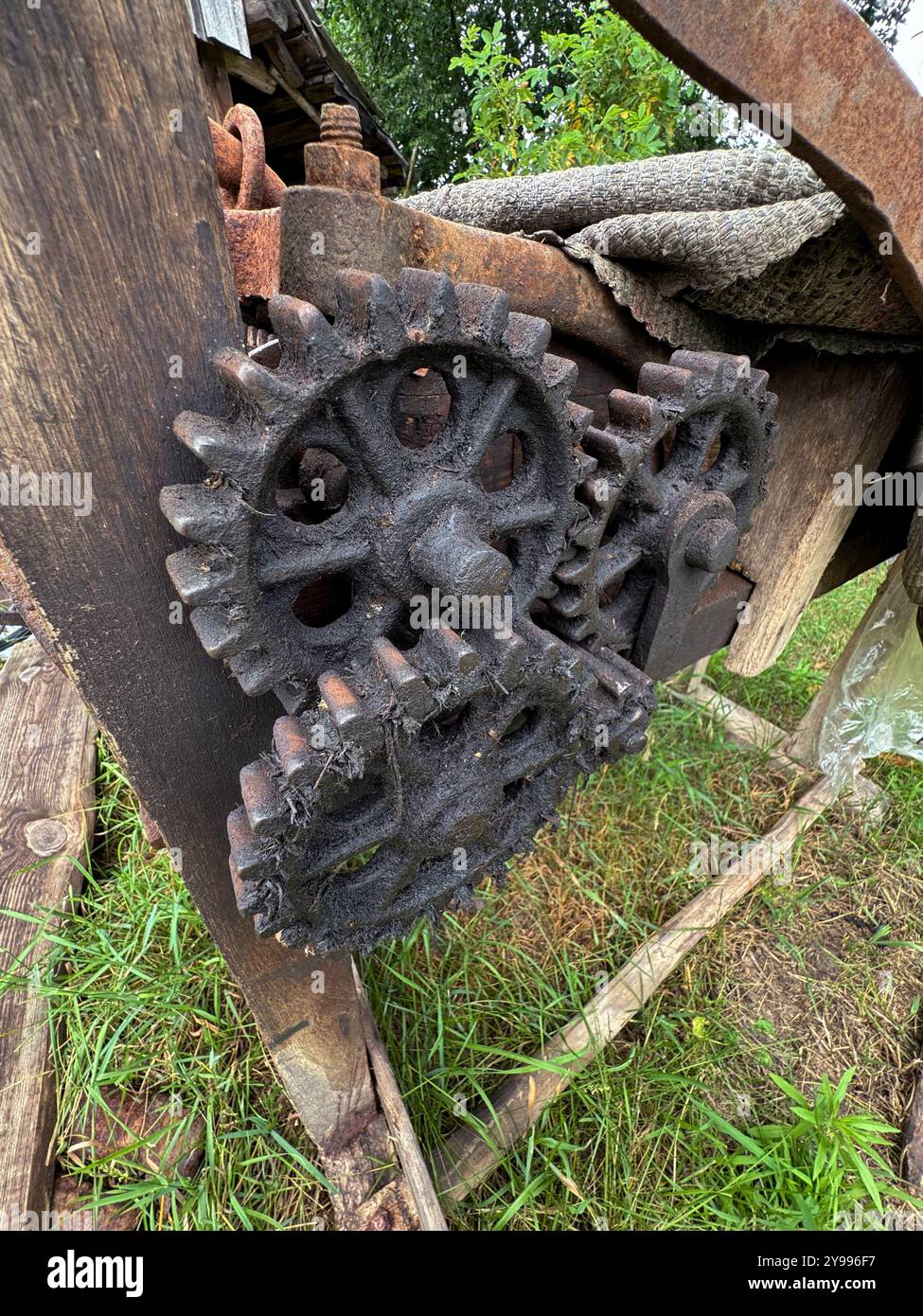 Transmission mechanism of a manual animal feed grinder. Gears of an old ...