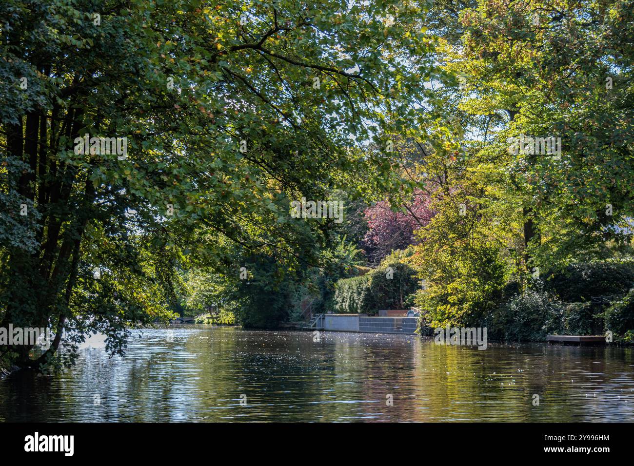 hamburg city at the alster river Stock Photo - Alamy