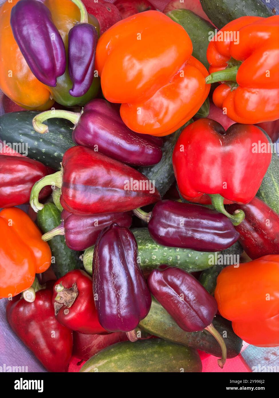 Mixed vegetables. Colorful and various-sized peppers and cucumbers ...