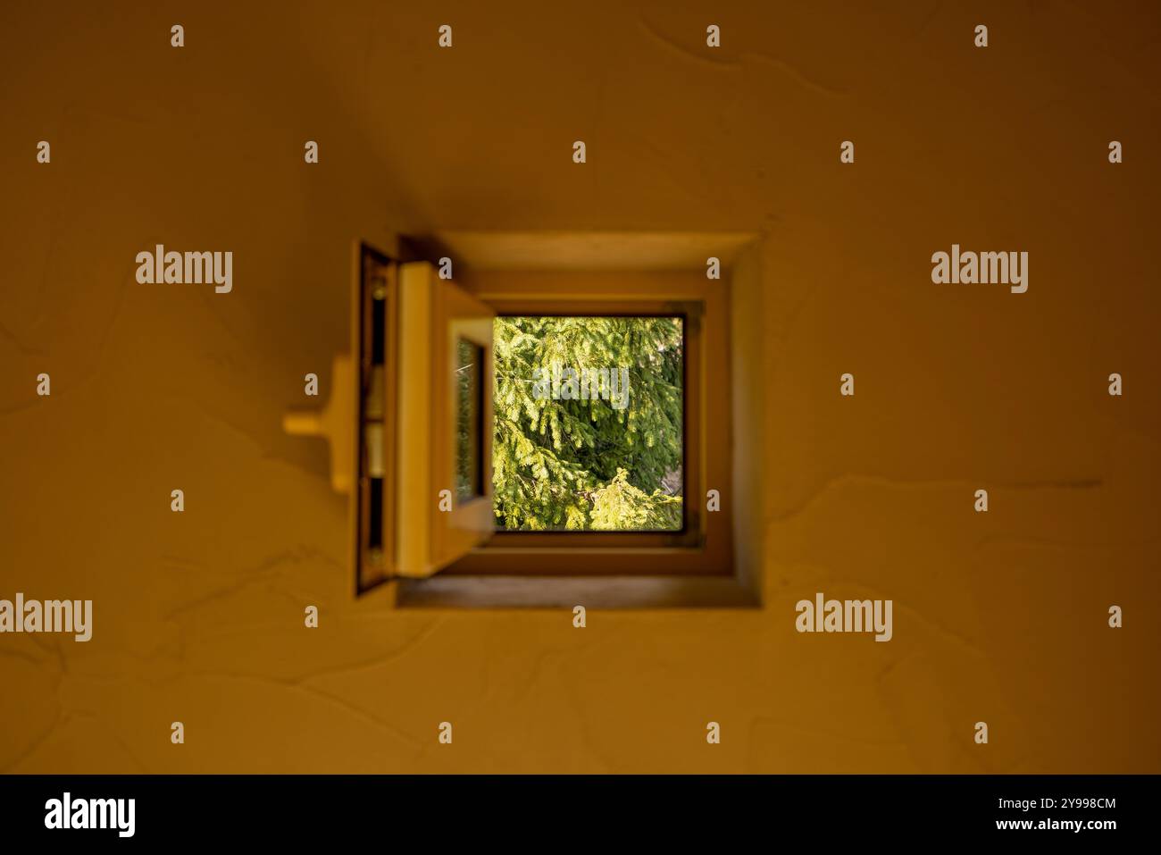 Nature Through a Tiny Window Stock Photo - Alamy