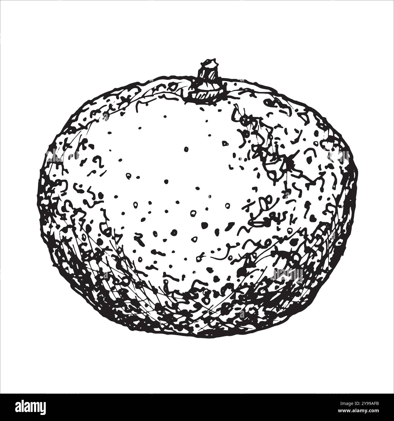 Graphic illustration of mandarin. Vector monochrome clipart of tropical ...