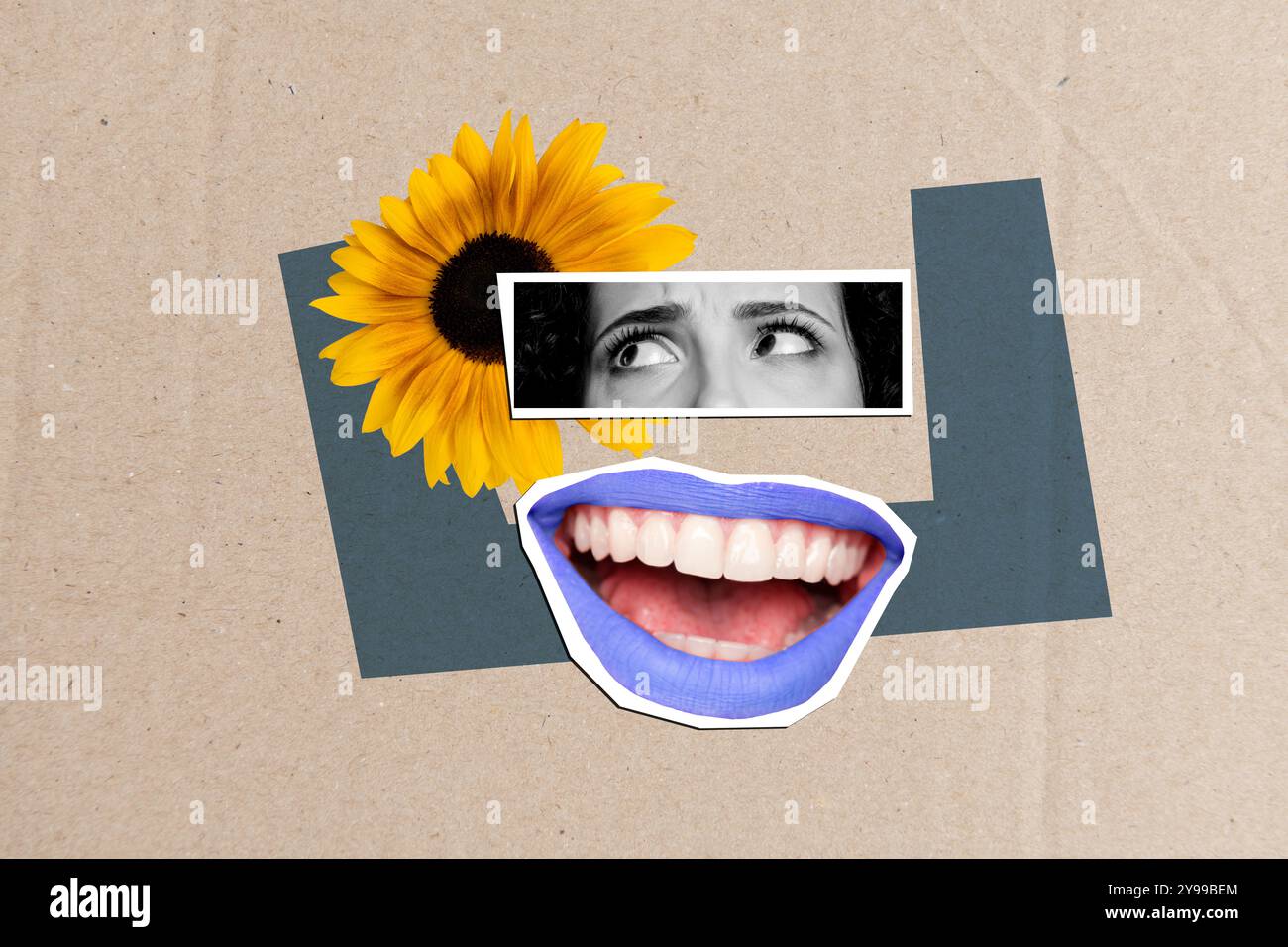 Composite collage picture image of confused female eyes smiling mouth ...