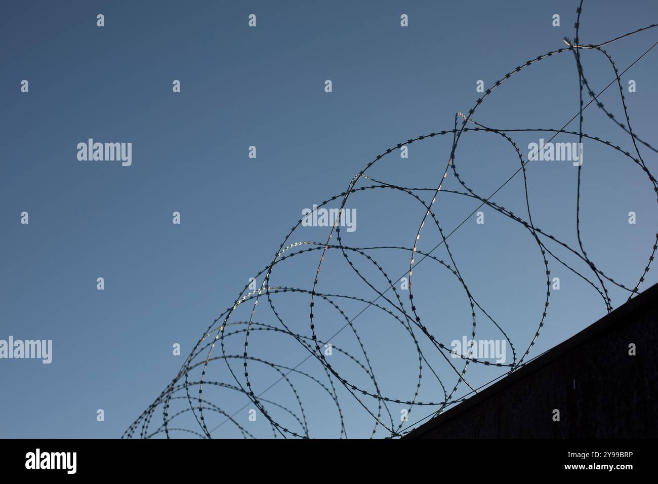 Barbed wire rings on fence. Protected area. Steel wire protection Stock ...