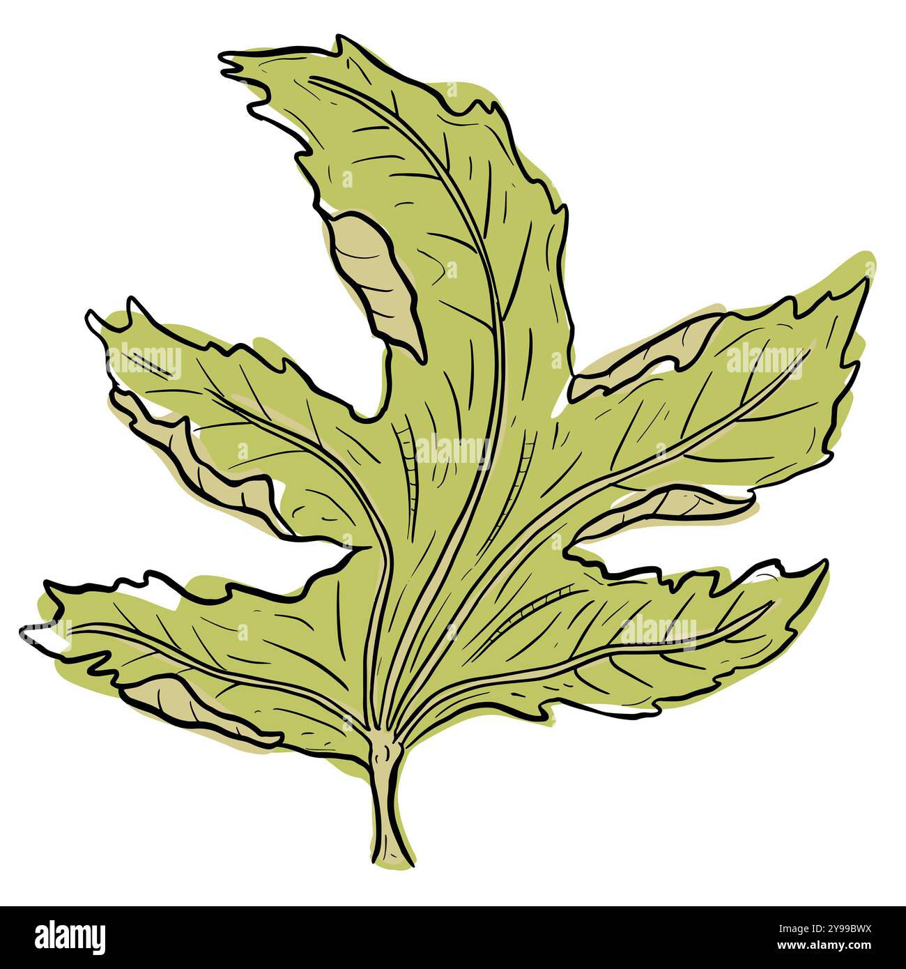 Clip Art Style Autumn Leaf Illustration in Vector Stock Photo - Alamy