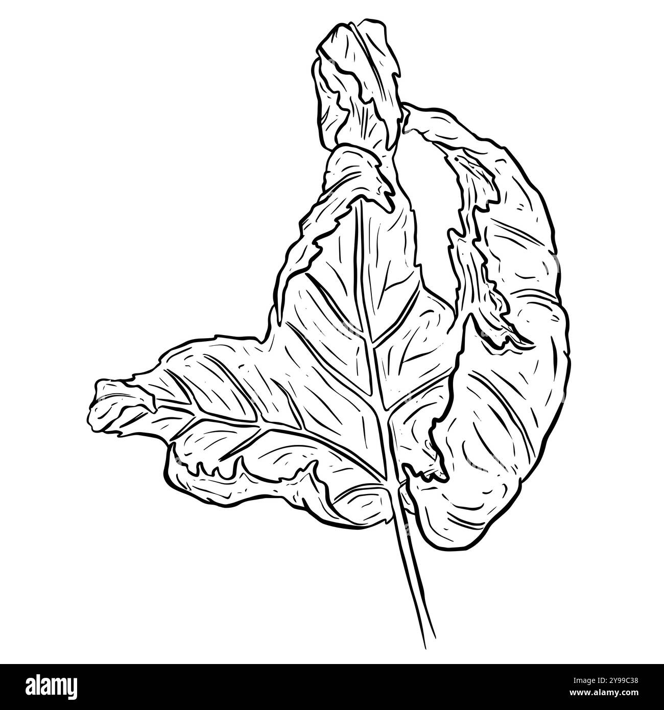 Vector art style Black and White Stock Photos & Images - Alamy