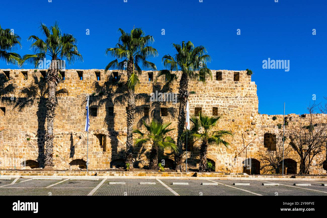 The fortification wall of the the Hospitallerian citadel, with palm ...
