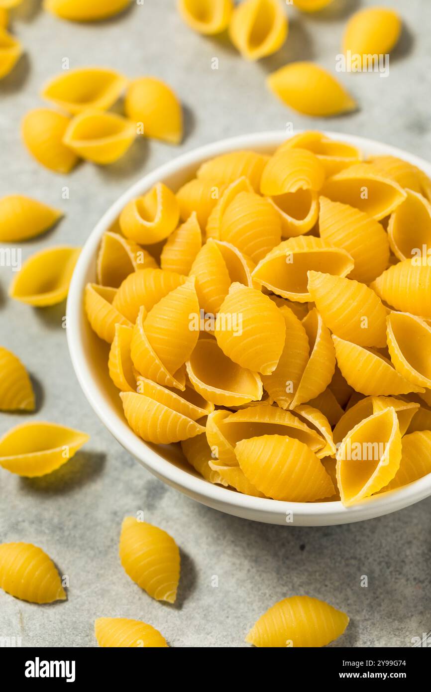 Dry Organic Conchiglie Pasta Shells Ready to Cook Stock Photo - Alamy
