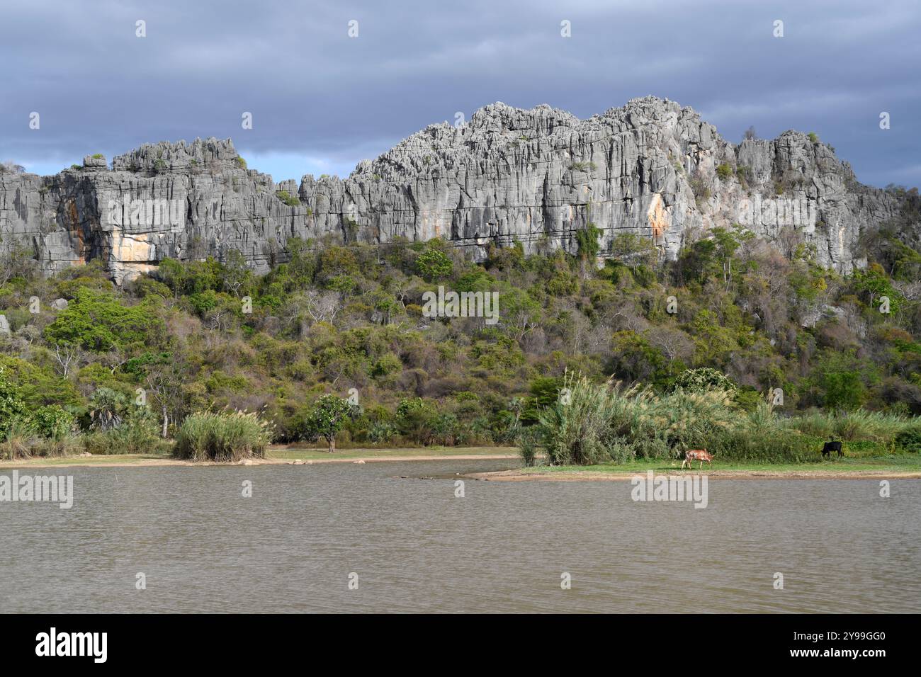 Iharana. Karst (tsingy) and lagoon. Sava region, Madagascar Stock Photo ...