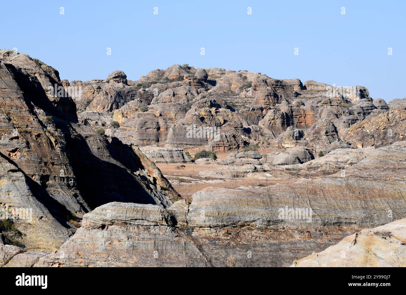 Isalo Massif. Dry deciduous forest with sandstone rocks, canyons and ...