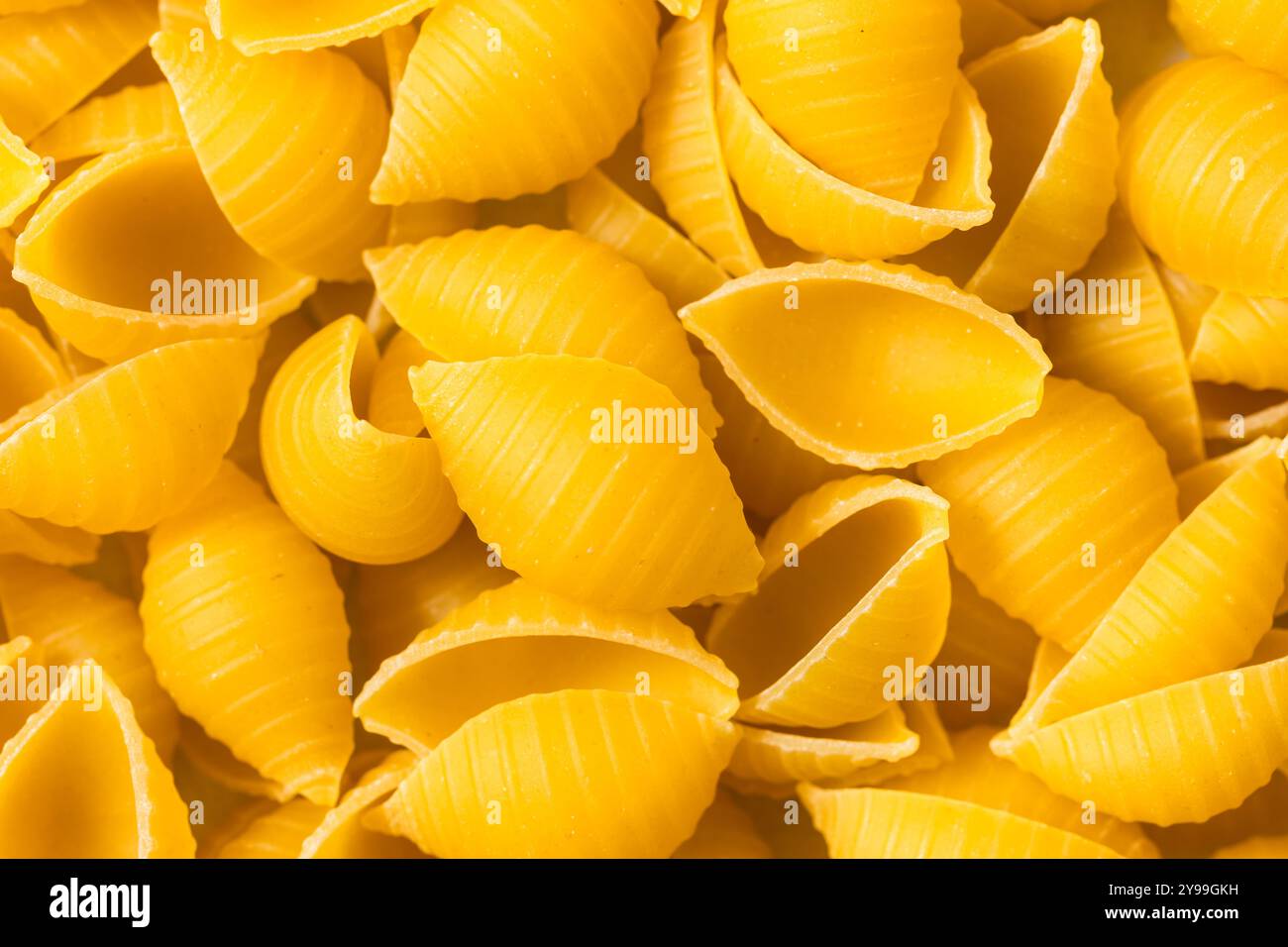 Dry Organic Conchiglie Pasta Shells Ready to Cook Stock Photo - Alamy