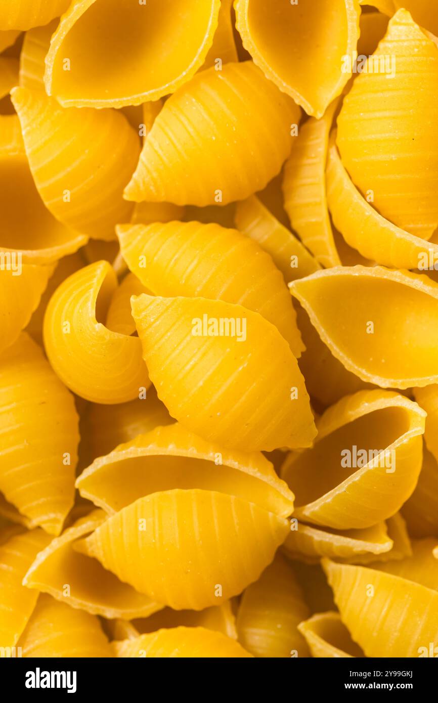 Dry Organic Conchiglie Pasta Shells Ready to Cook Stock Photo - Alamy
