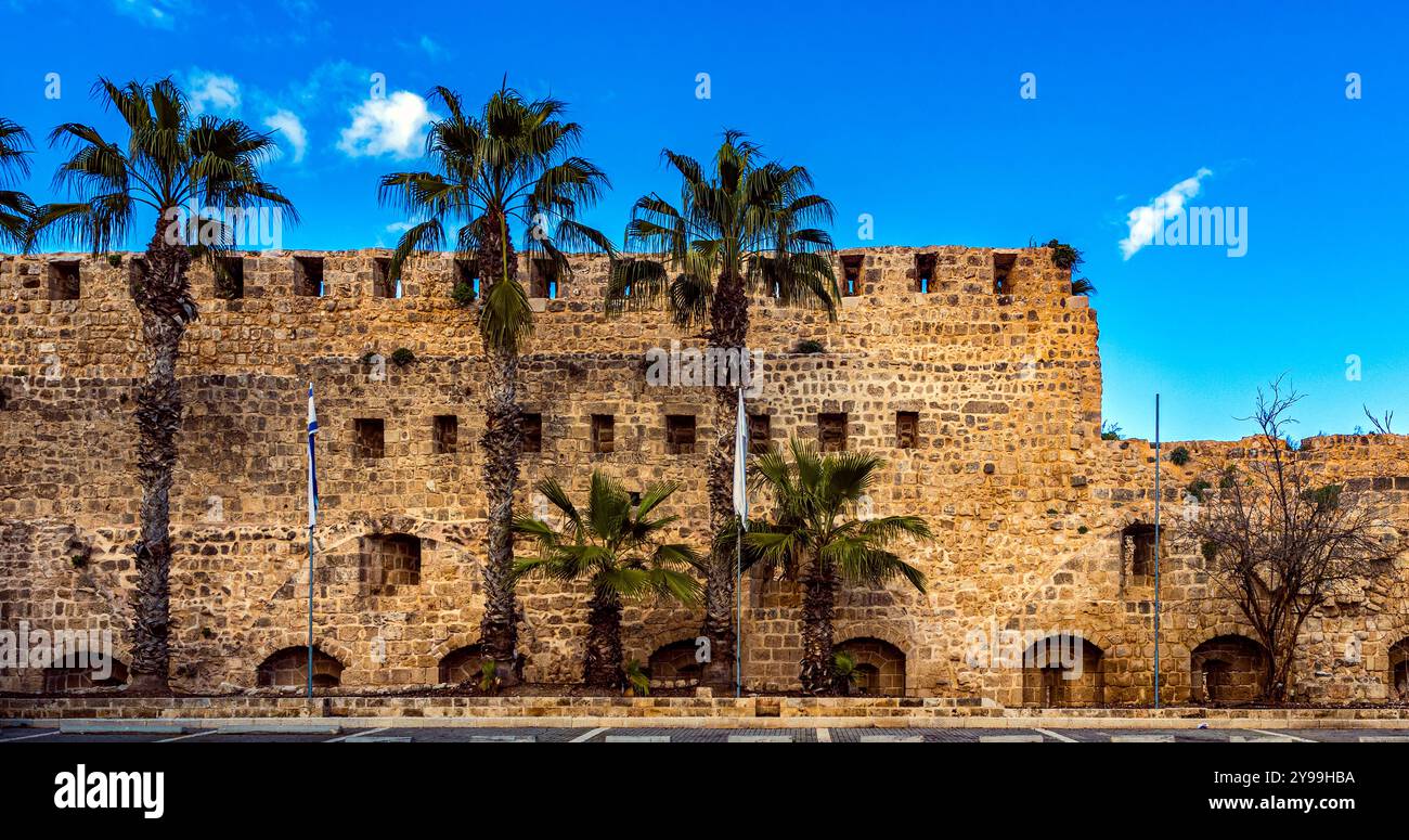 The fortification wall of the the Hospitallerian citadel, with palm ...