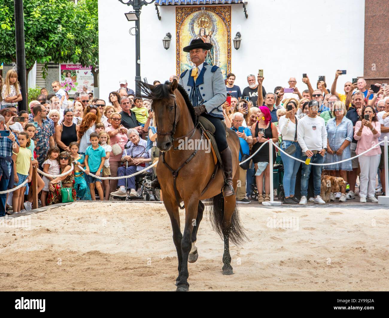 Rider riding a purebred Spanish horse in Andalusian attire, doing a ...