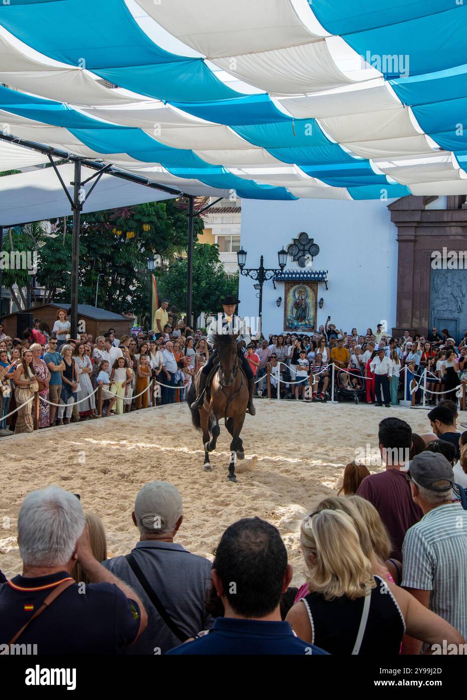 Rider riding a purebred Spanish horse in Andalusian attire, doing a ...