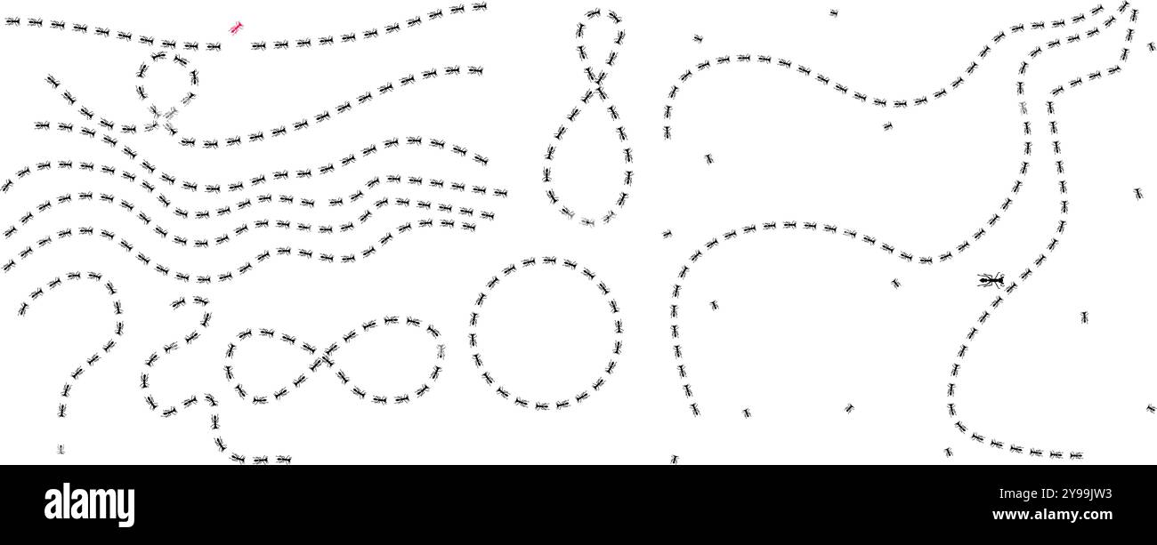 Set of different Ant trail . Insect path Stock vector illustration ...