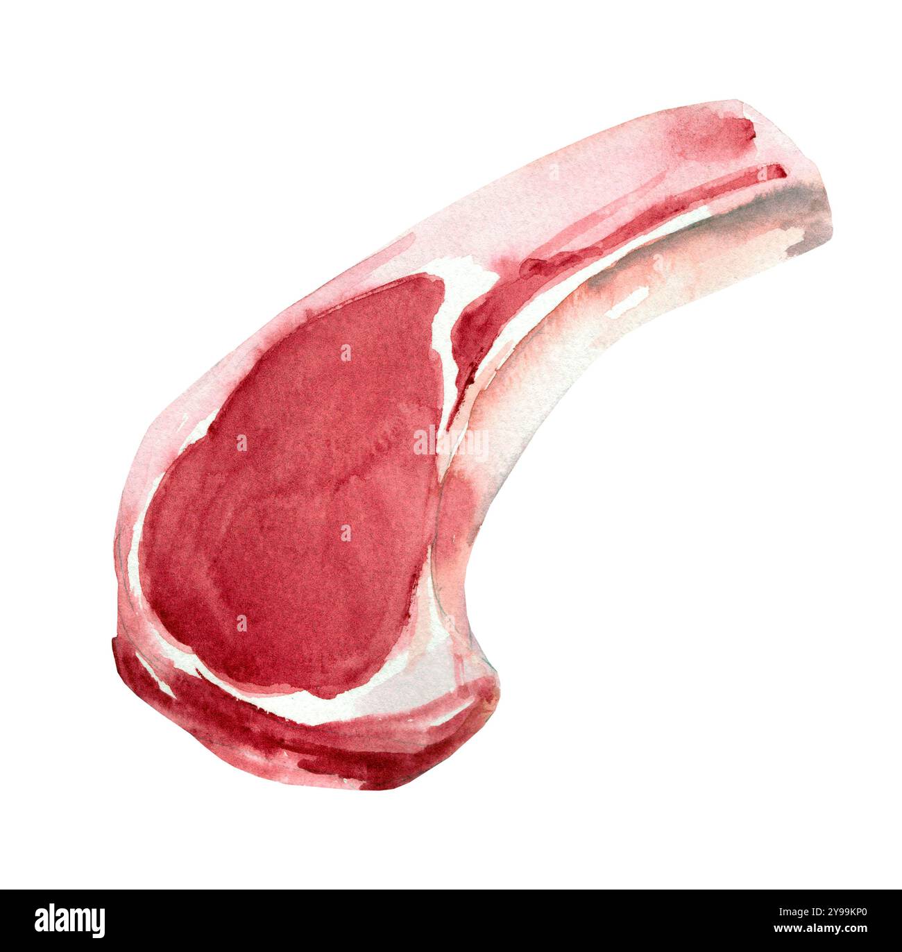Watercolor piece of fresh beef ribs isolated on white background. Raw ...