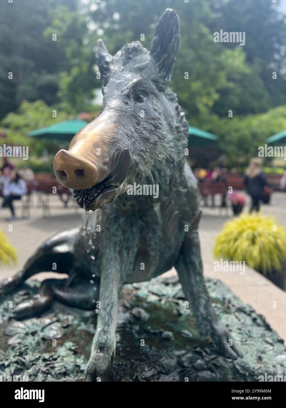 The bronze wild boar statue, known as ‘Il Porcellino,’ located at ...