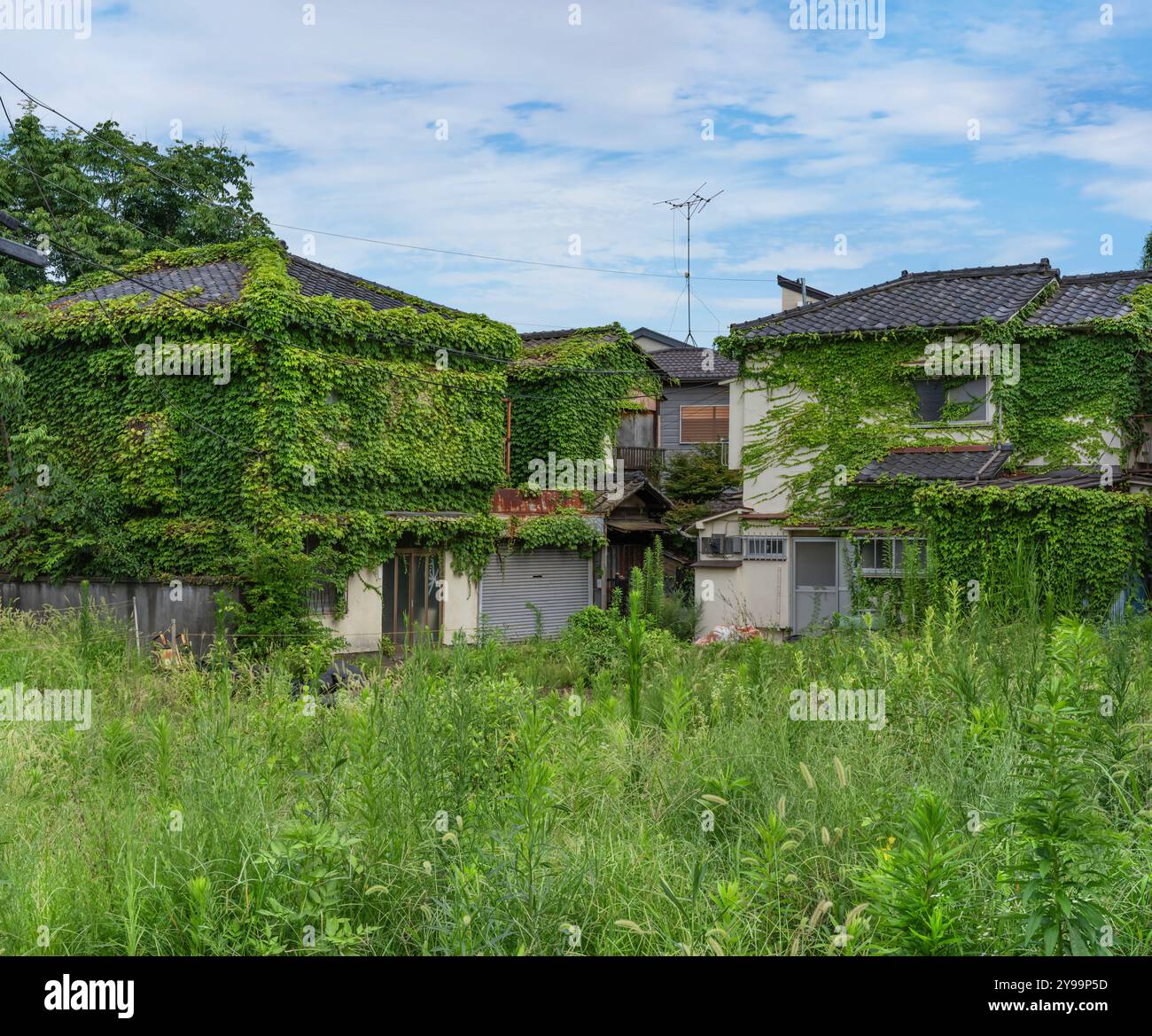 Overgrown foliage and grasses engulfs vacant Japanese homes in north ...