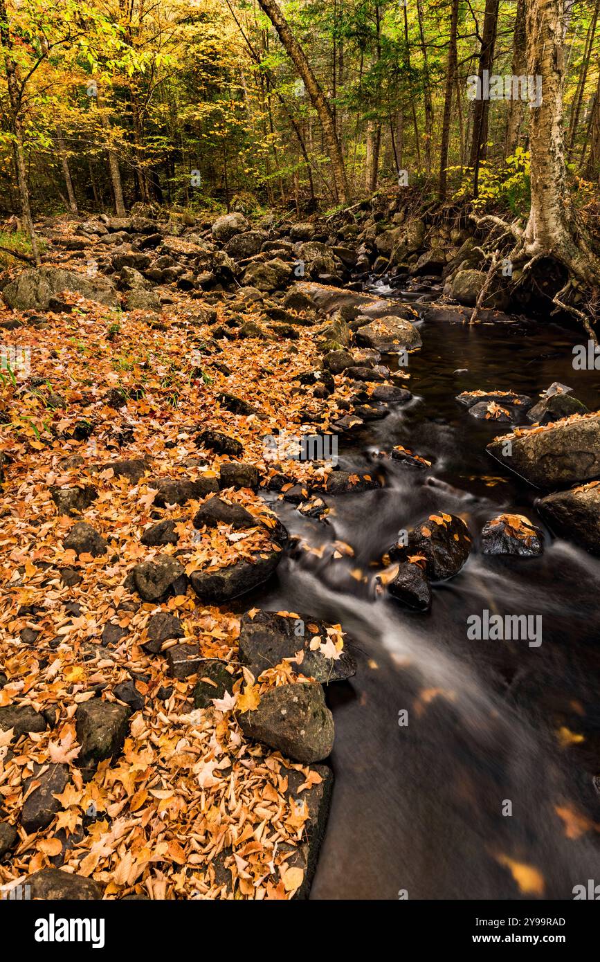Adirondack region new york hi-res stock photography and images - Alamy