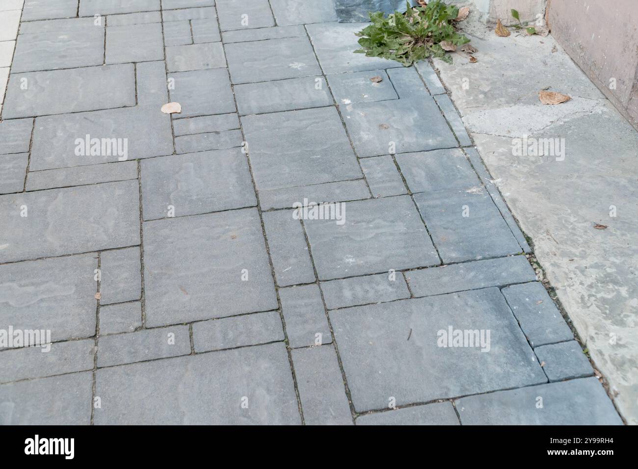 Textured Pathway with Natural Greenery and Urban Elements Stock Photo ...