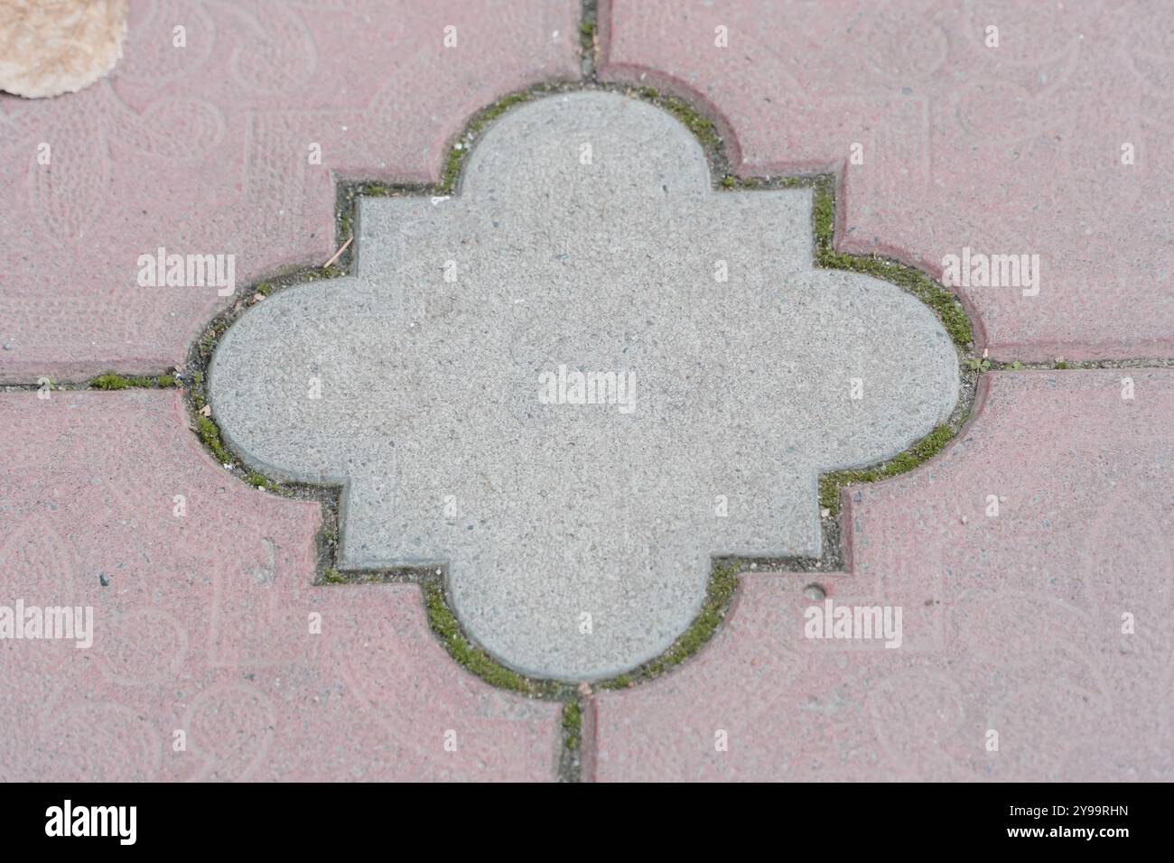 Nature's Resilience: Overgrown Patterned Pavement Tile Surrounded by ...
