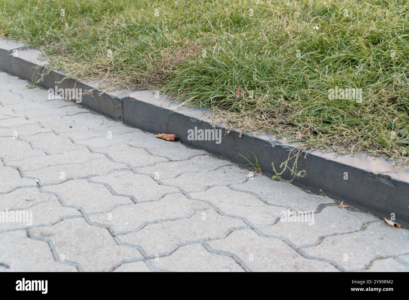 Intersection of flora hi-res stock photography and images - Alamy