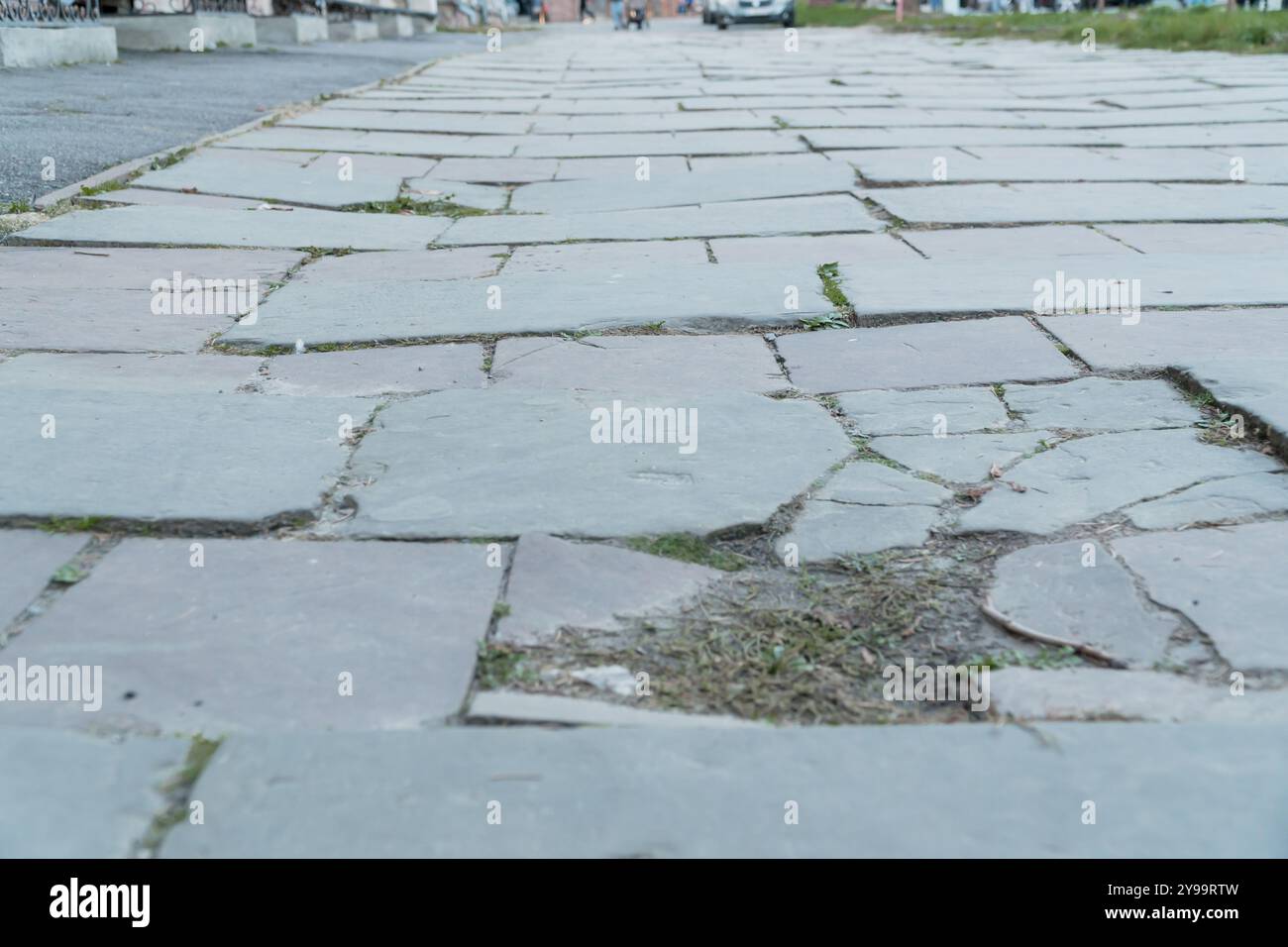 Worn Cobblestone Pathway Through Overgrown Grass in Urban Setting Stock ...