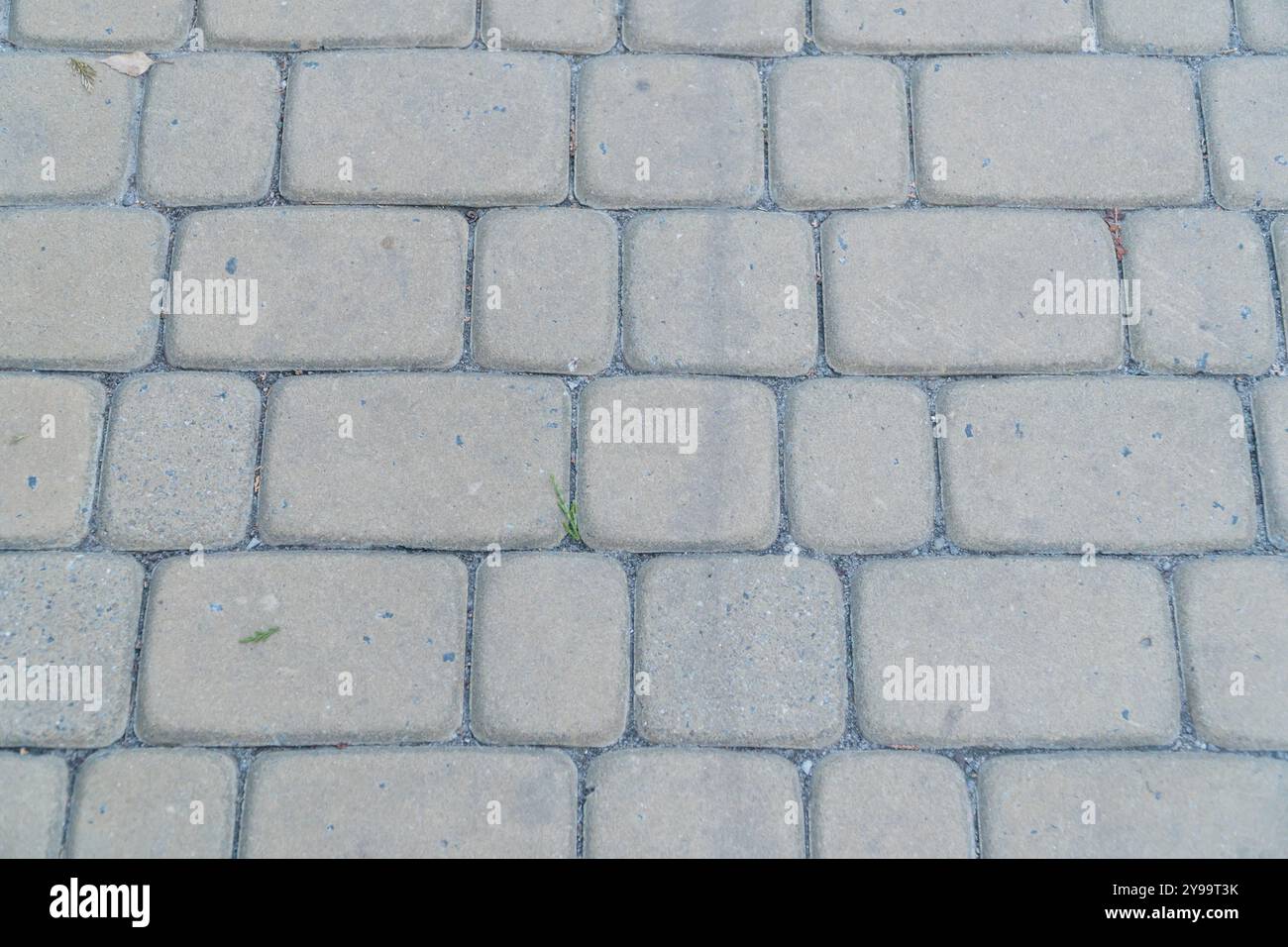 Textured Cobblestone Pathway with Subtle Natural Elements Stock Photo ...