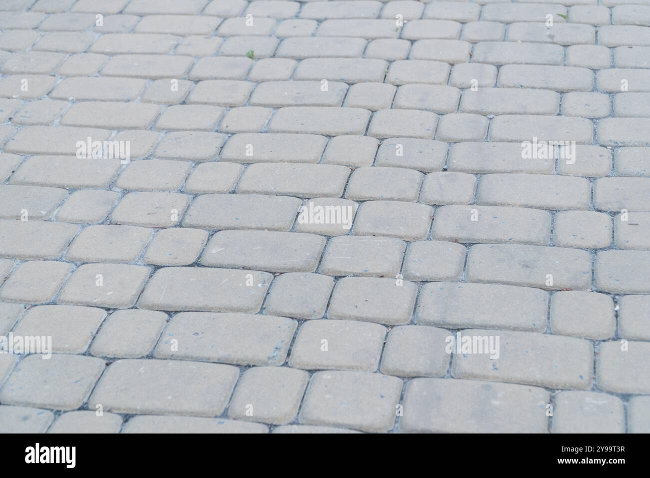Elegant Cobblestone Pathway with Subtle Textures and Palettes Stock ...