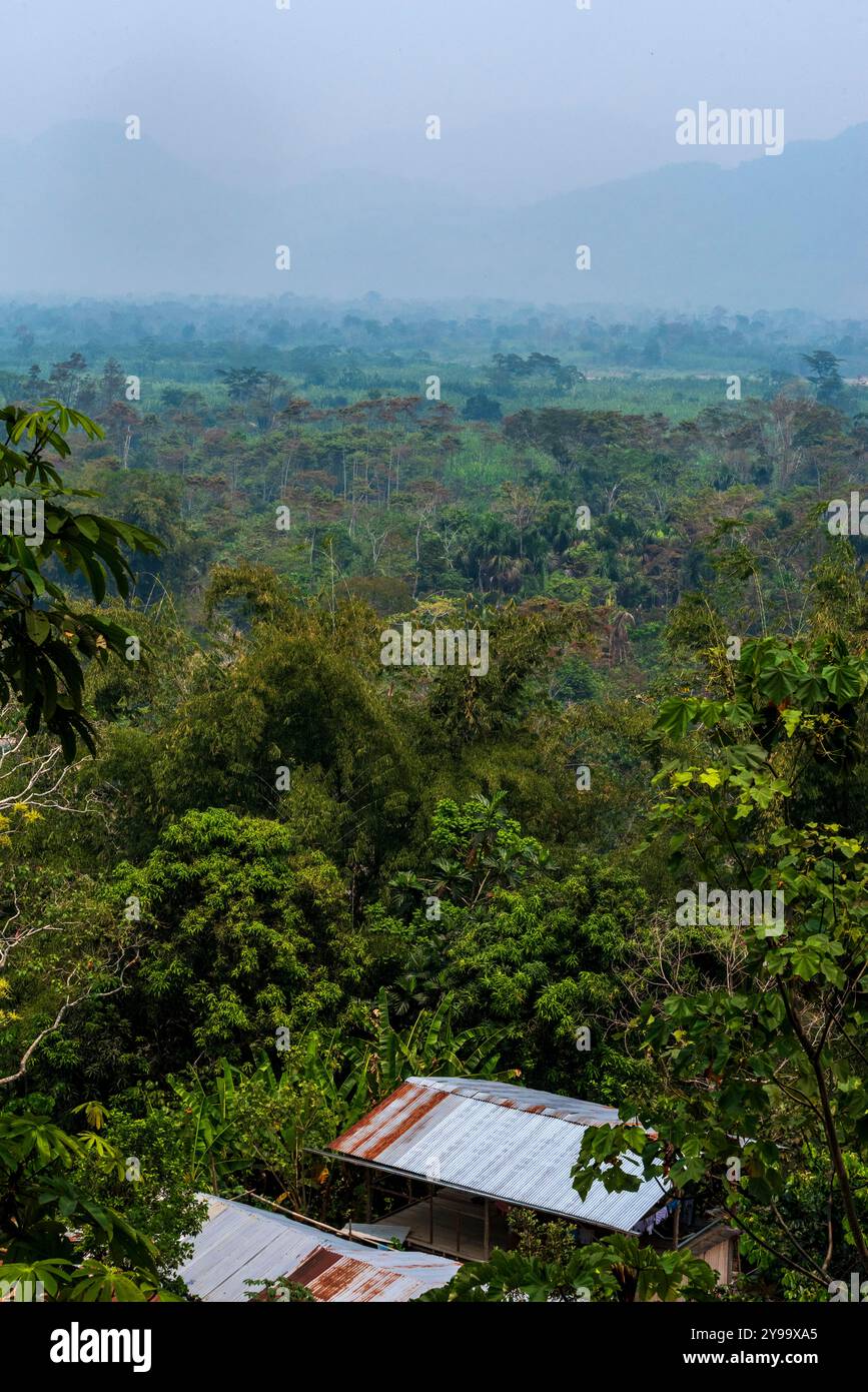 Smoke caused by forest fires in the Peruvian Amazon Stock Photo - Alamy