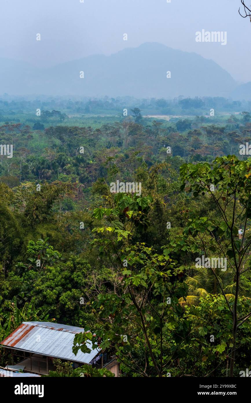 Smoke caused by forest fires in the Peruvian Amazon Stock Photo - Alamy