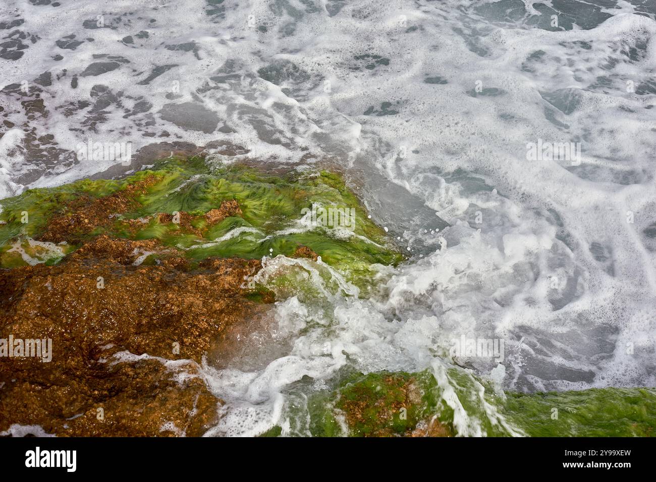 A rocky beach with seaweed and waves lapping on it. rough water ...