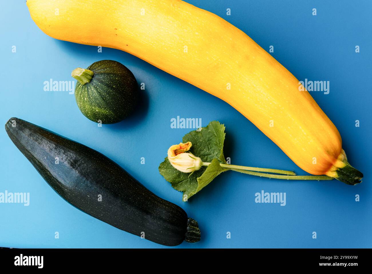 Yellow and green zucchinis, round green zucchini on the wood background ...