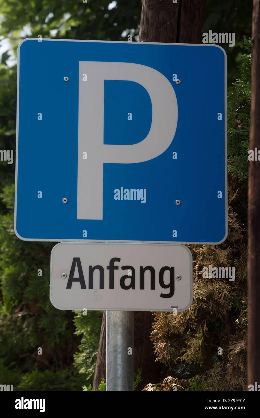 a parking lot road sign with a white P letter parking sign with white P ...