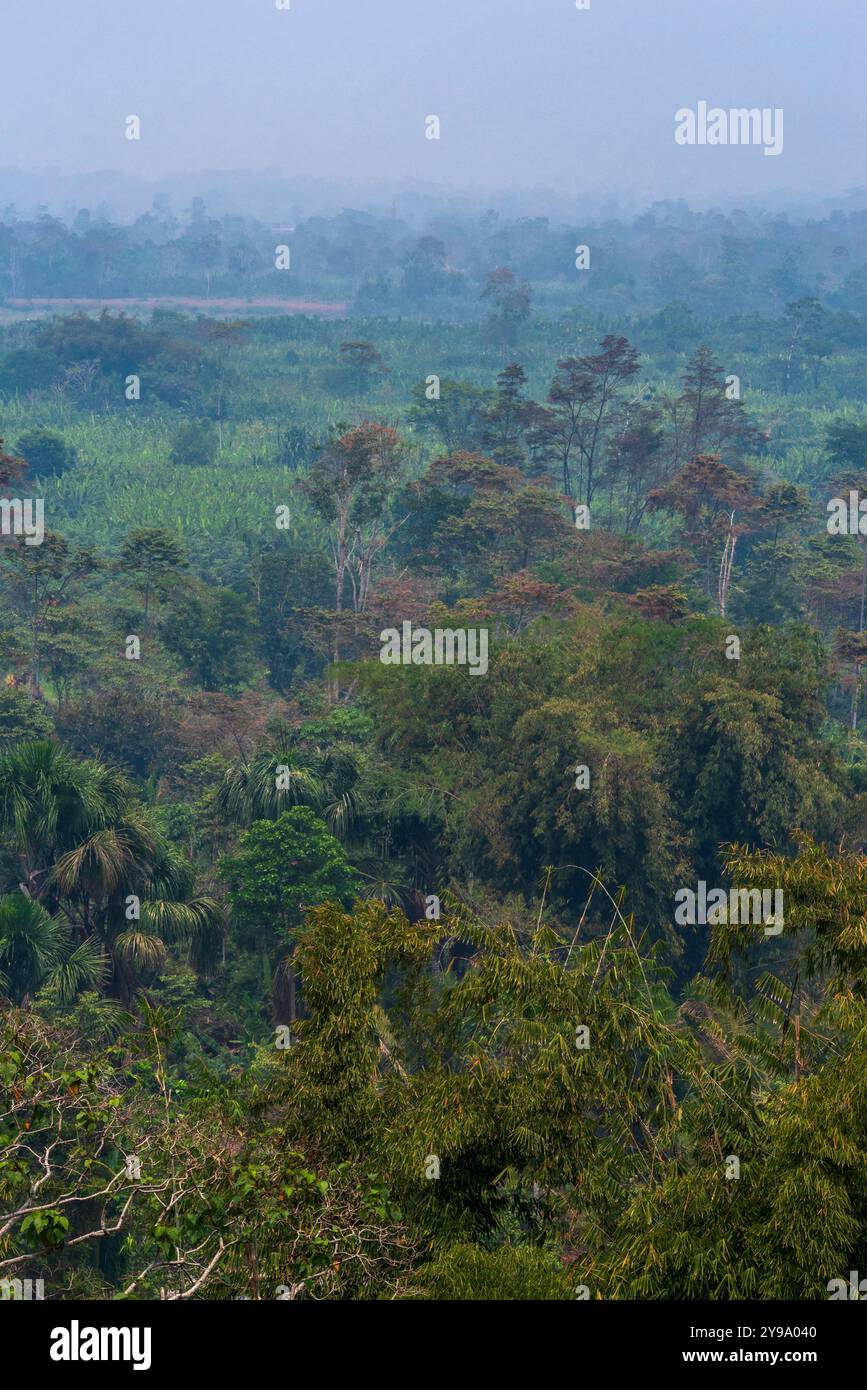 Smoke caused by forest fires in the Peruvian Amazon Stock Photo - Alamy