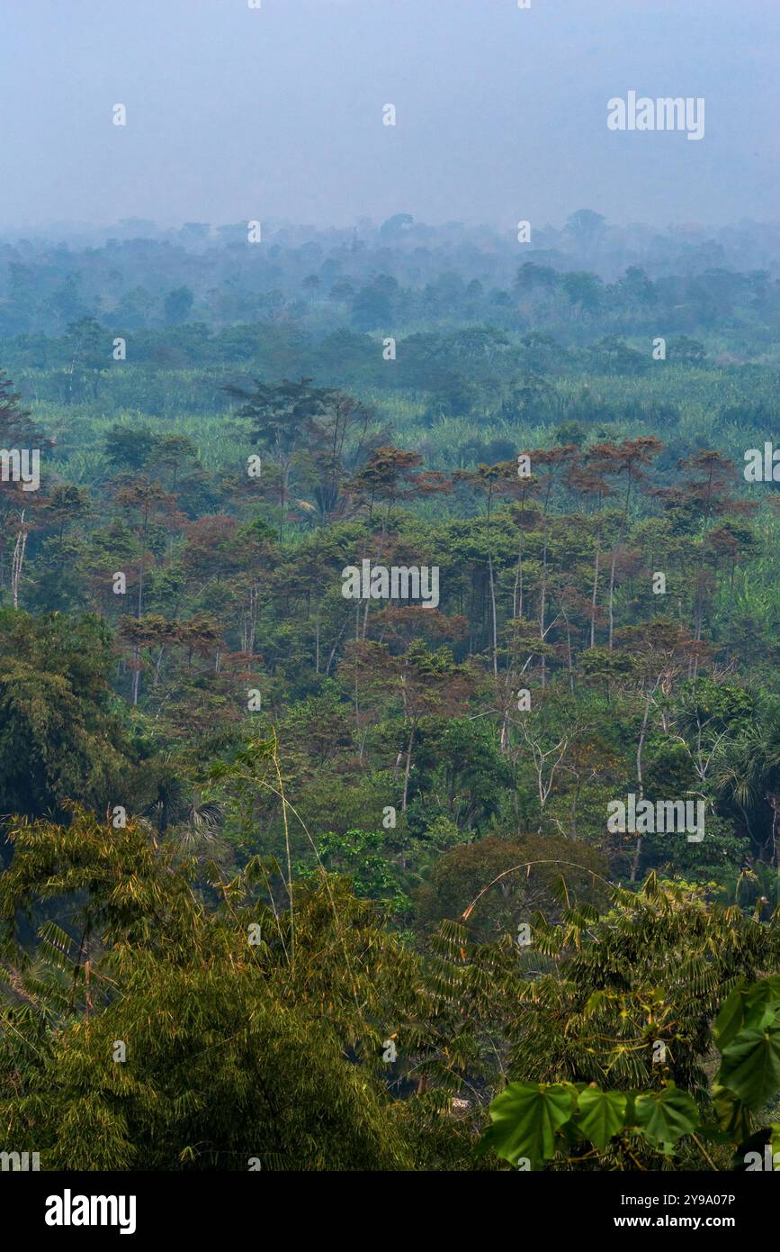 Smoke caused by forest fires in the Peruvian Amazon Stock Photo - Alamy